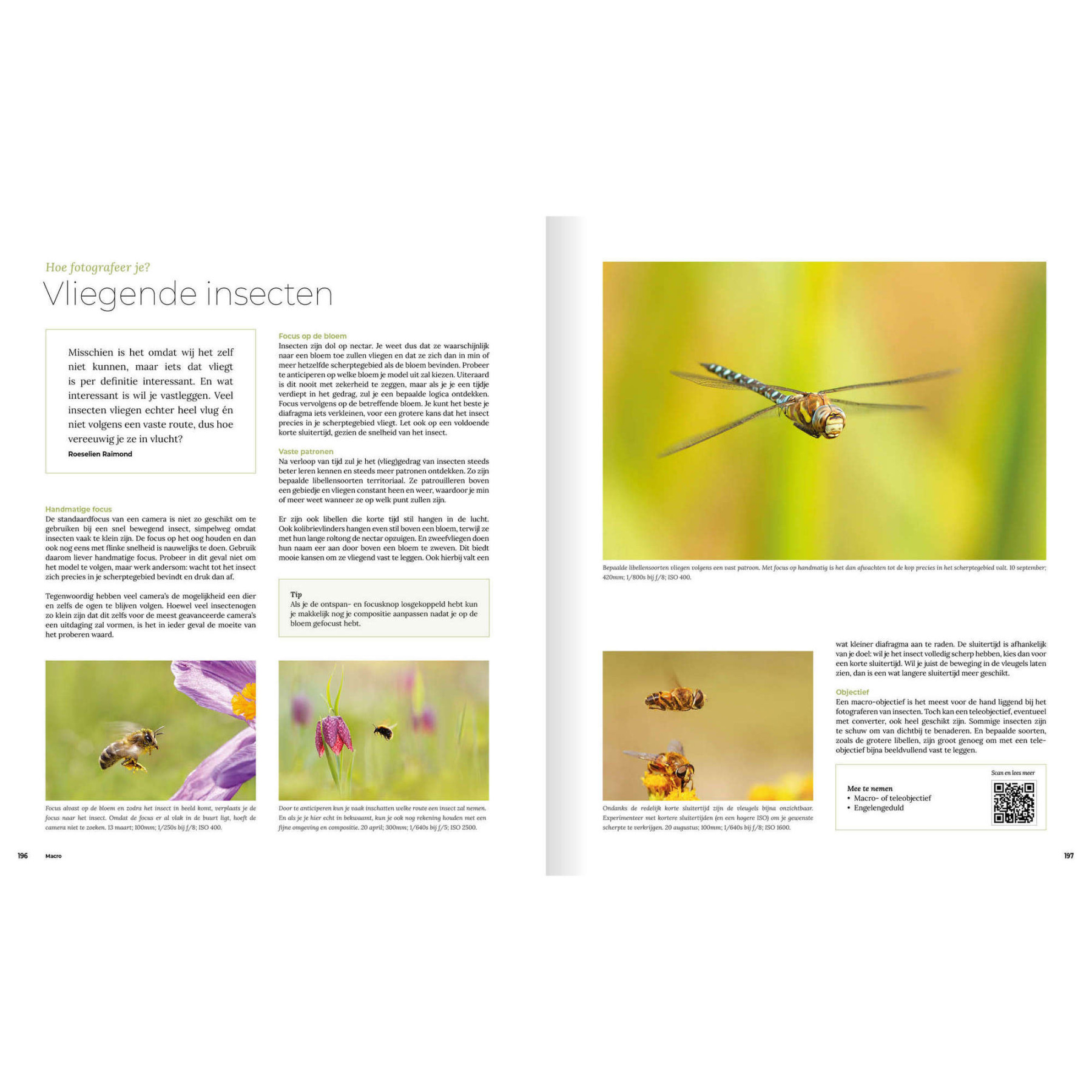 Het complete handboek natuurfotografie